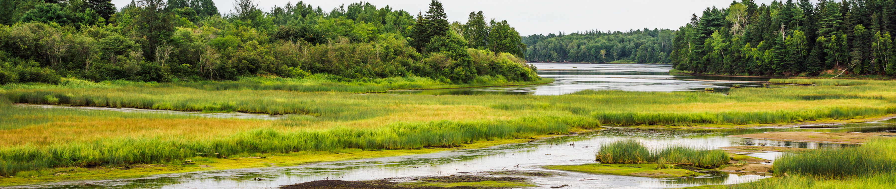 Natural Resource Damages - Edgcomb Law Group
